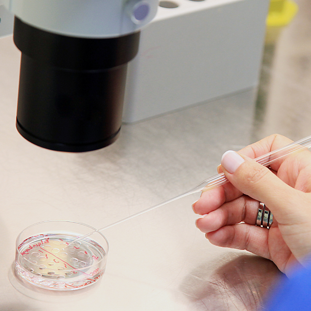 Secure Intracytoplasmic Morphological Sperm Injection